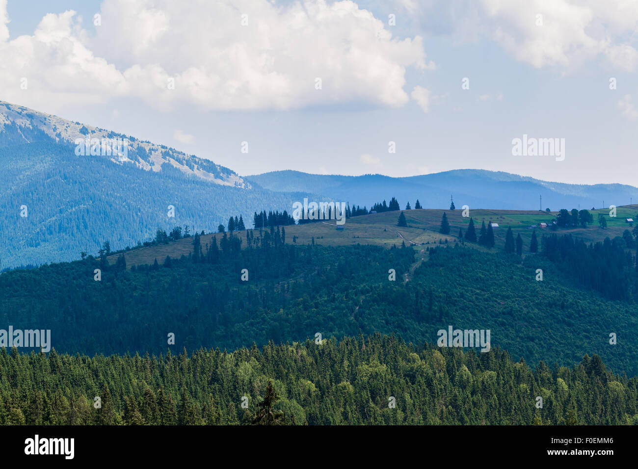 summer landscape of the Montenegrin ridge in Carpathians Stock Photo ...