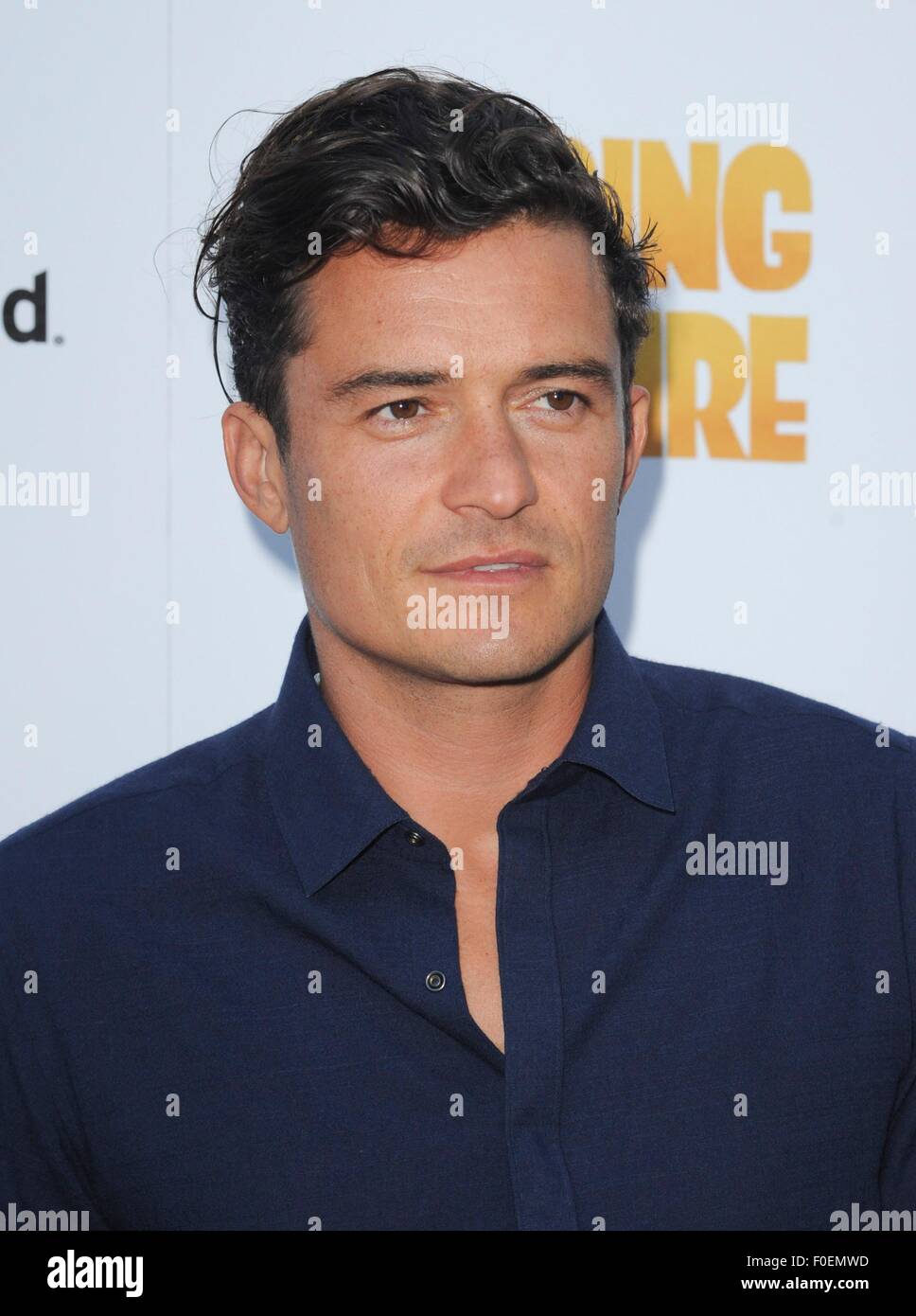 Los Angeles, CA, USA. 13th Aug, 2015. Orlando Bloom at arrivals for DIGGING FOR FIRE Premiere ...