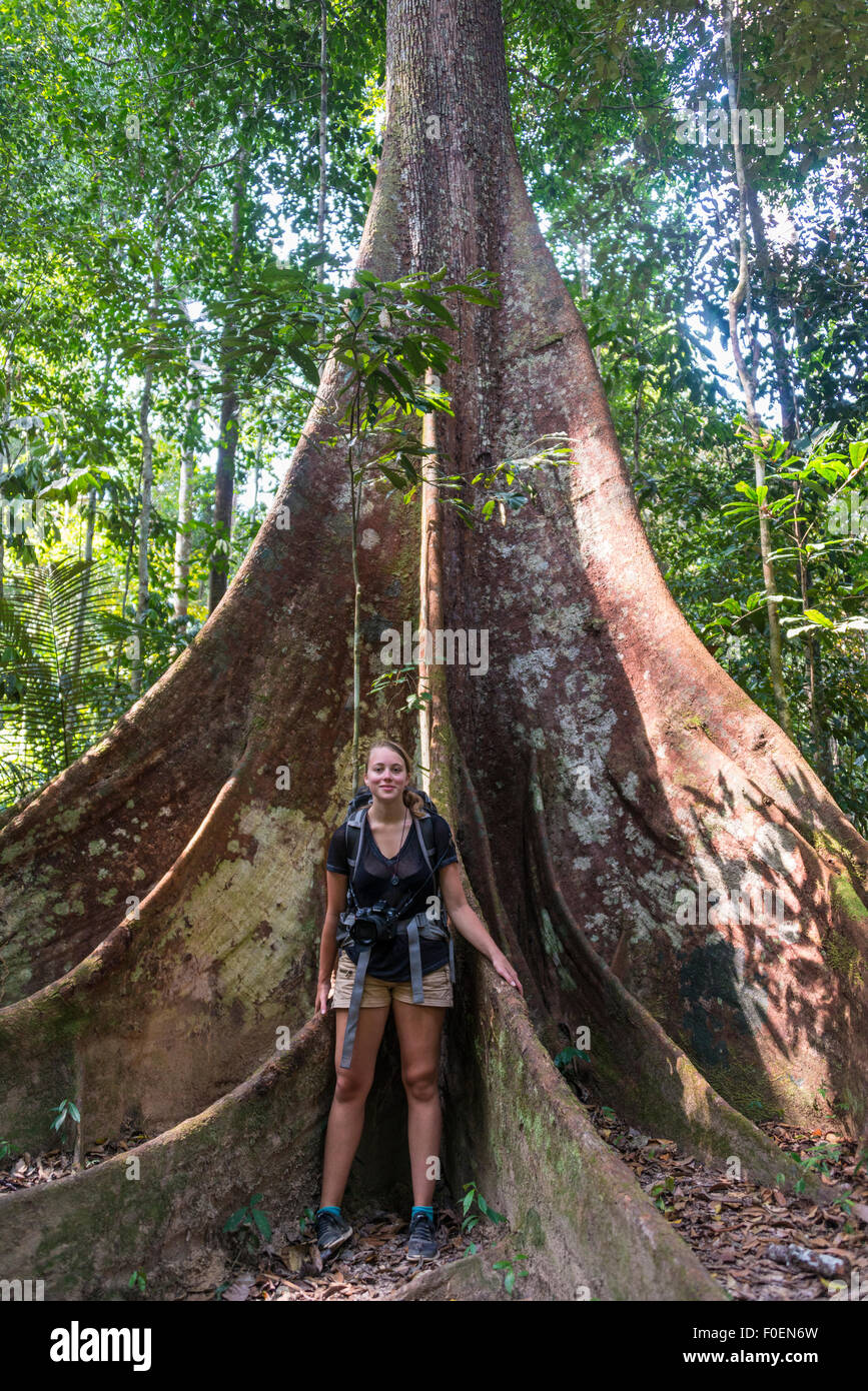 Young woman standing in front of a large forest giant in the jungle ...