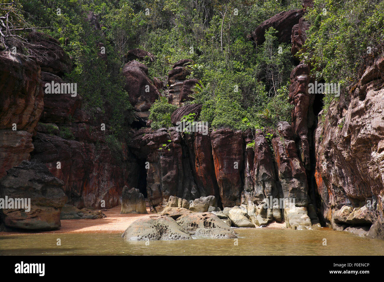 Bako National Park, sandstone rocks and tropical rainforest on the ...