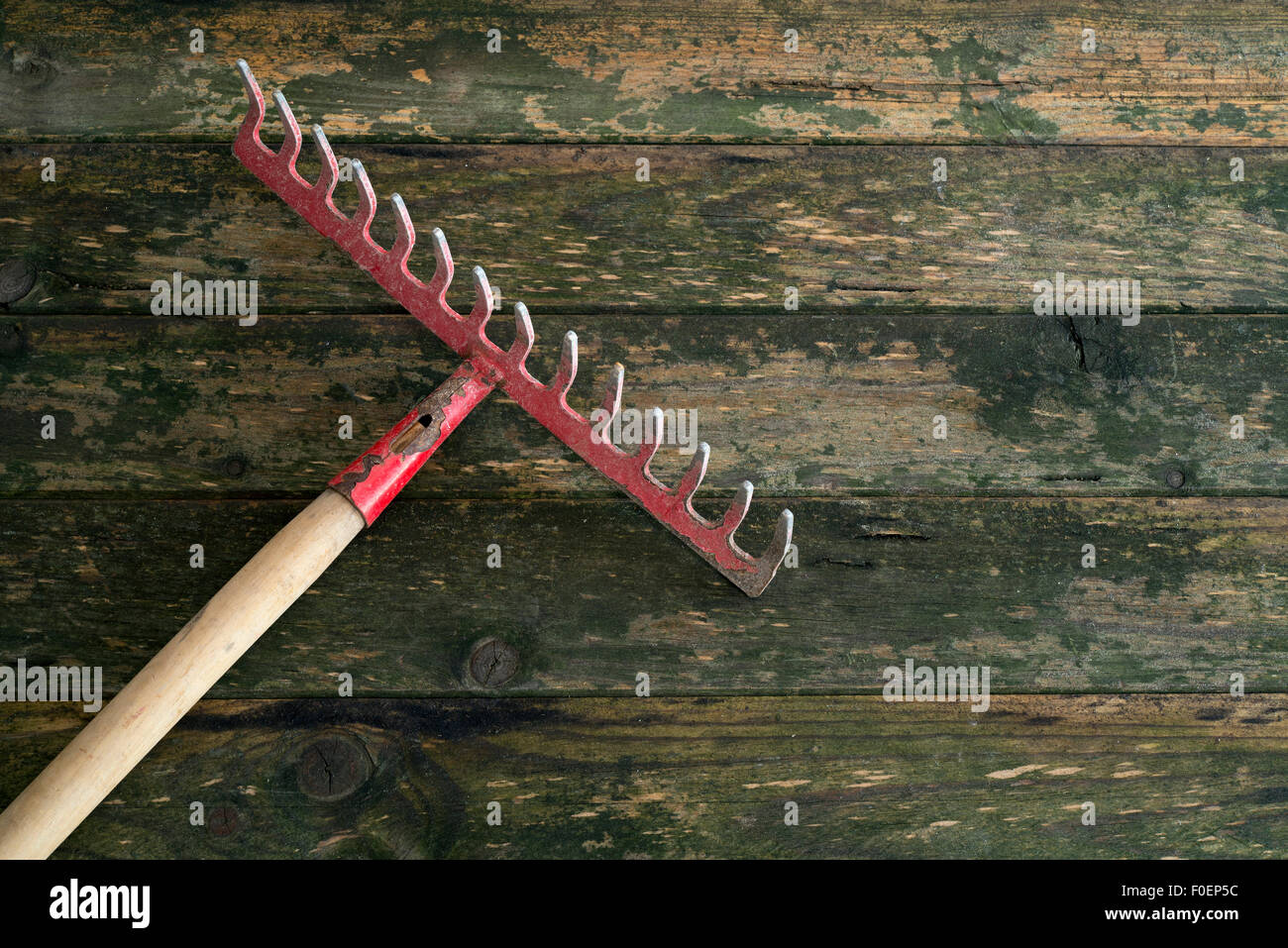 Rake red on background of boards Stock Photo - Alamy