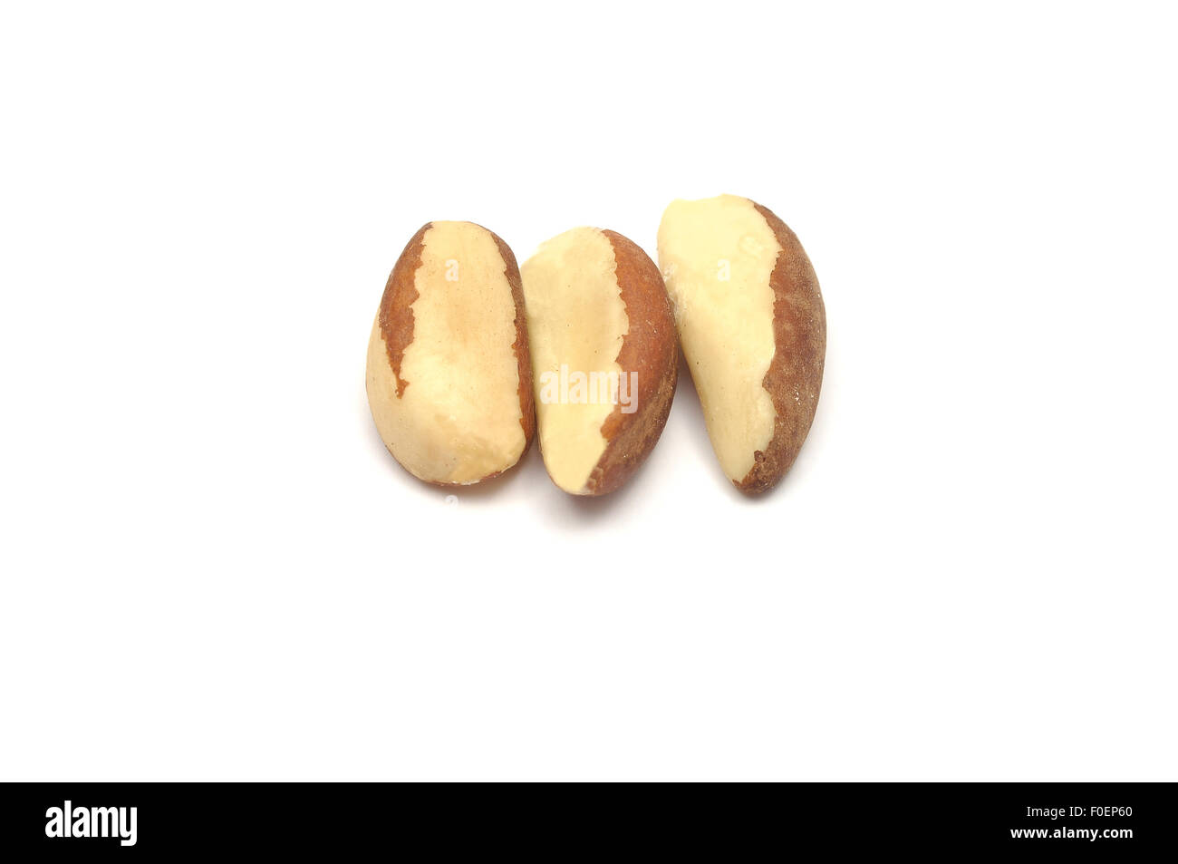 Detailed but simple image of para nut Stock Photo - Alamy