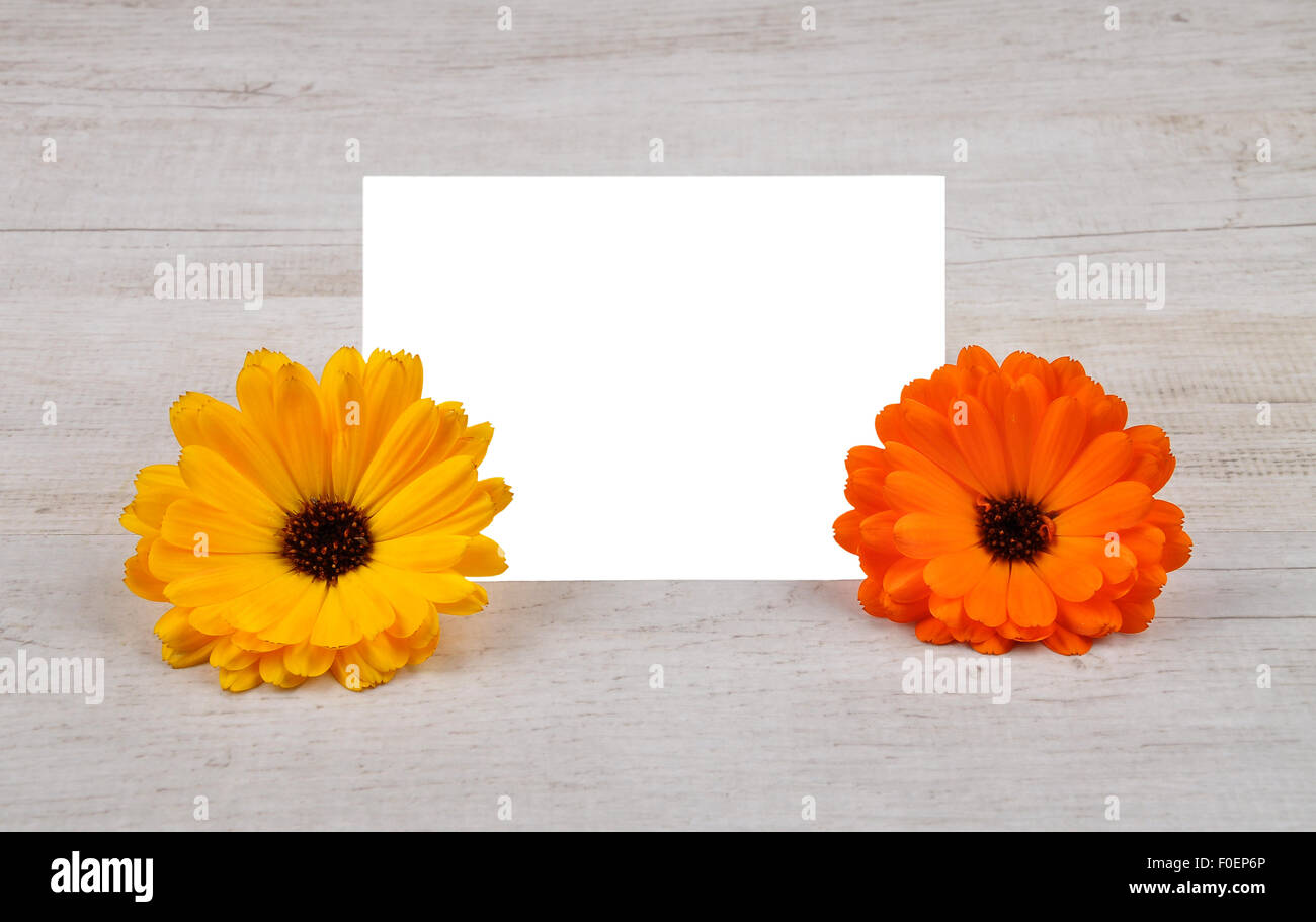 Describable hi-res stock photography and images - Alamy