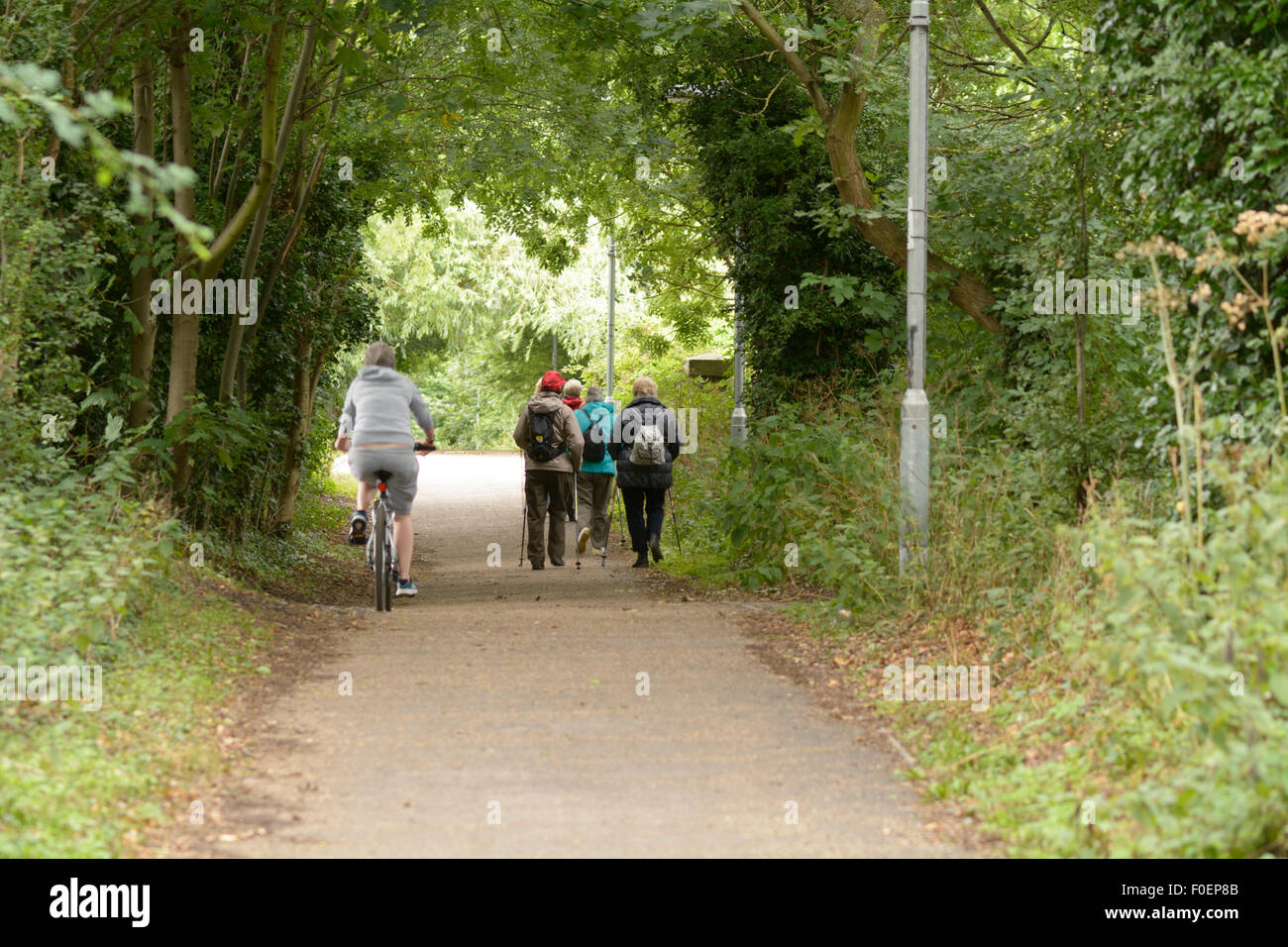 Cyclist and Nordic power walkers on Route 51 Cycle Path in Bedford ...