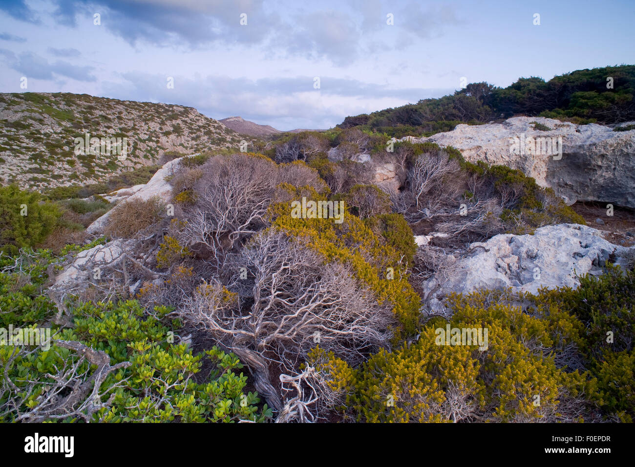 Antikythera island, Greece, September 2008 Stock Photo - Alamy