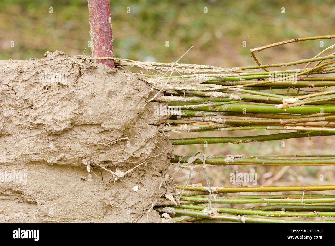 Wattle and daub building method Stock Photo - Alamy