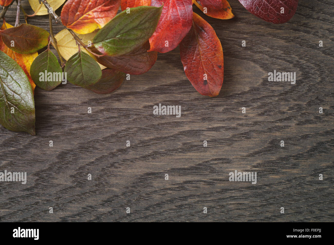 vintage toned photo of autumn leaves over wood table Stock Photo - Alamy