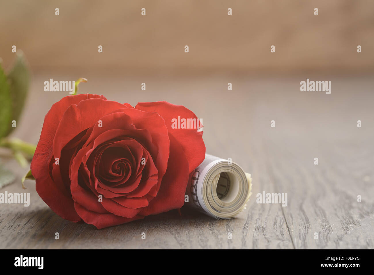 single red rose and bunch of dollar bills Stock Photo - Alamy