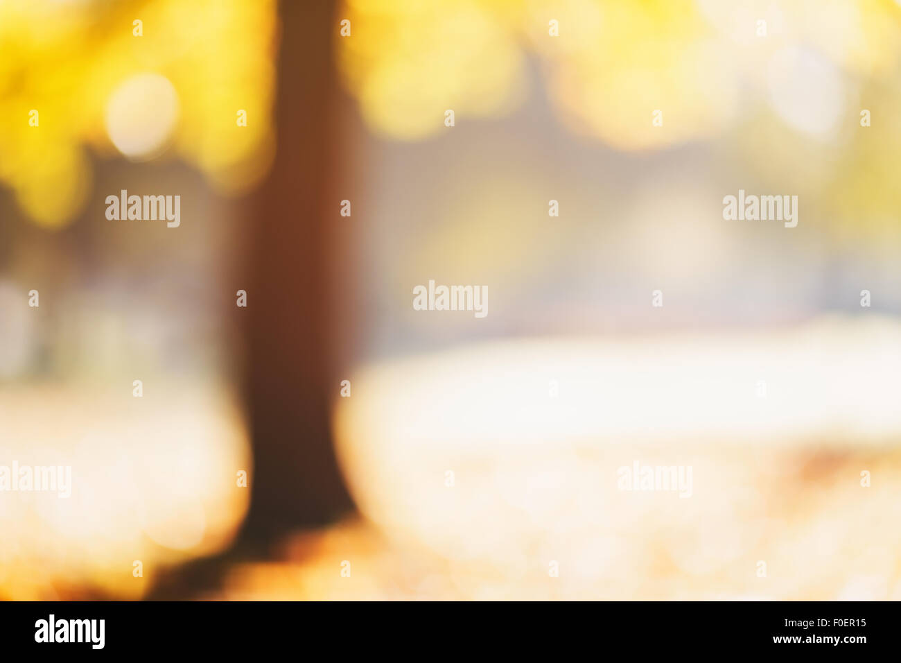 natural bokeh with autumn trees Stock Photo - Alamy