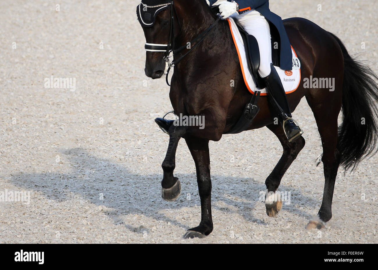 Edward gal hi-res stock photography and images - Alamy