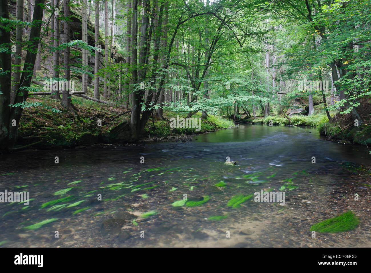 Dlouhy High Resolution Stock Photography and Images - Alamy