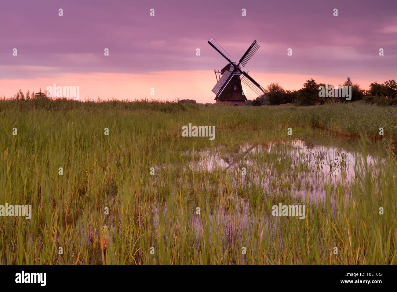 Dutch windmill at purple sunrise, Holland Stock Photo - Alamy