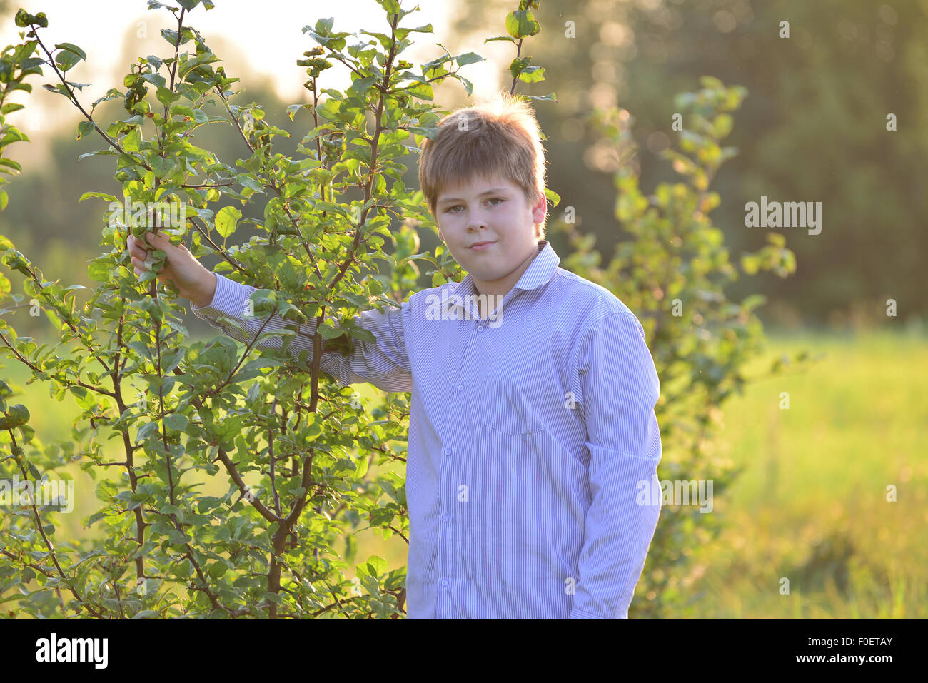 Portrait of a teenage boy in the nature in summer Stock Photo - Alamy