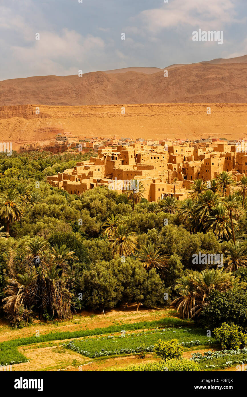 Moroccan palm trees hi-res stock photography and images - Alamy