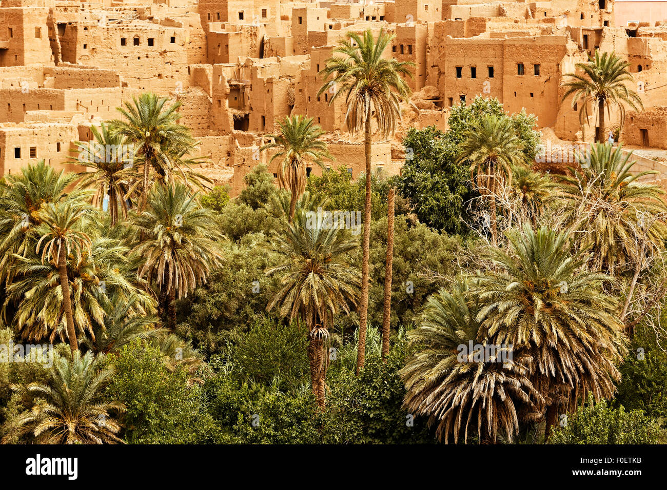 Palm trees in morocco hi-res stock photography and images - Alamy