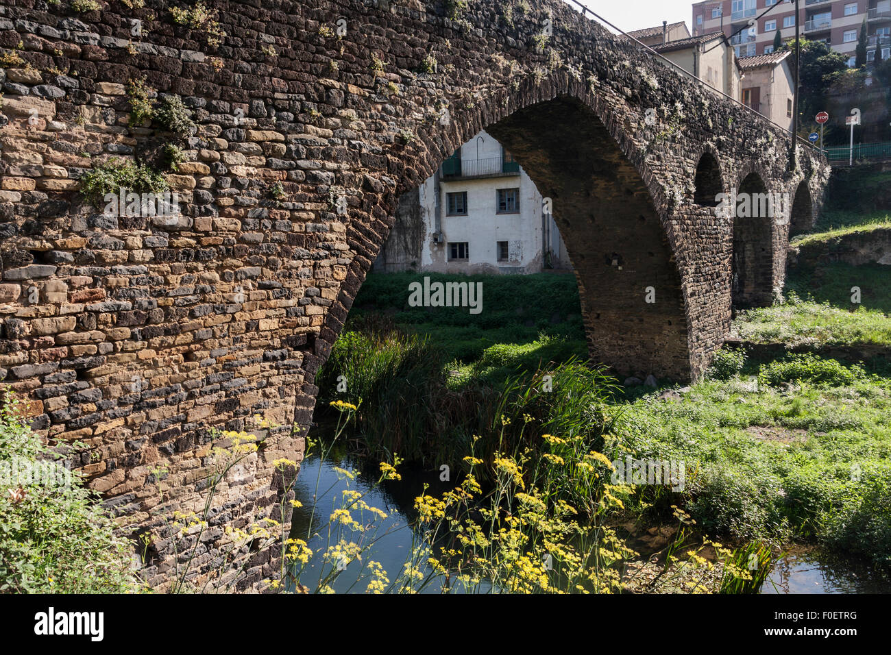 Medieval bridge of Sant Joan les Fonts over Fluvia river Stock Photo ...