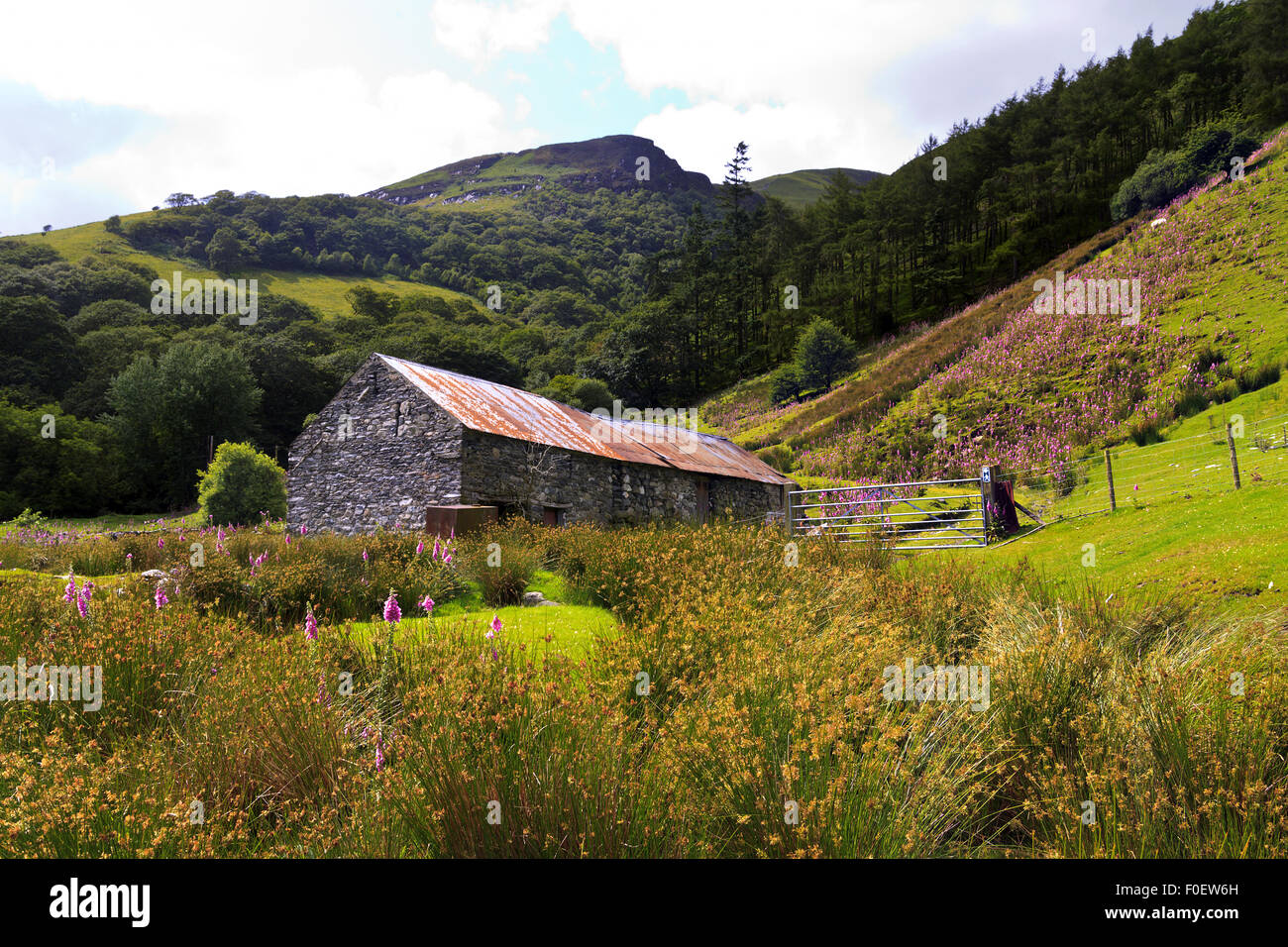 Welsh barn hi-res stock photography and images - Alamy