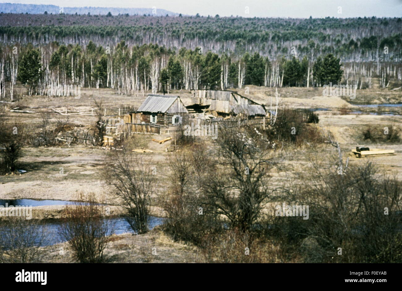 Taiga forests of eastern siberia hi-res stock photography and images ...