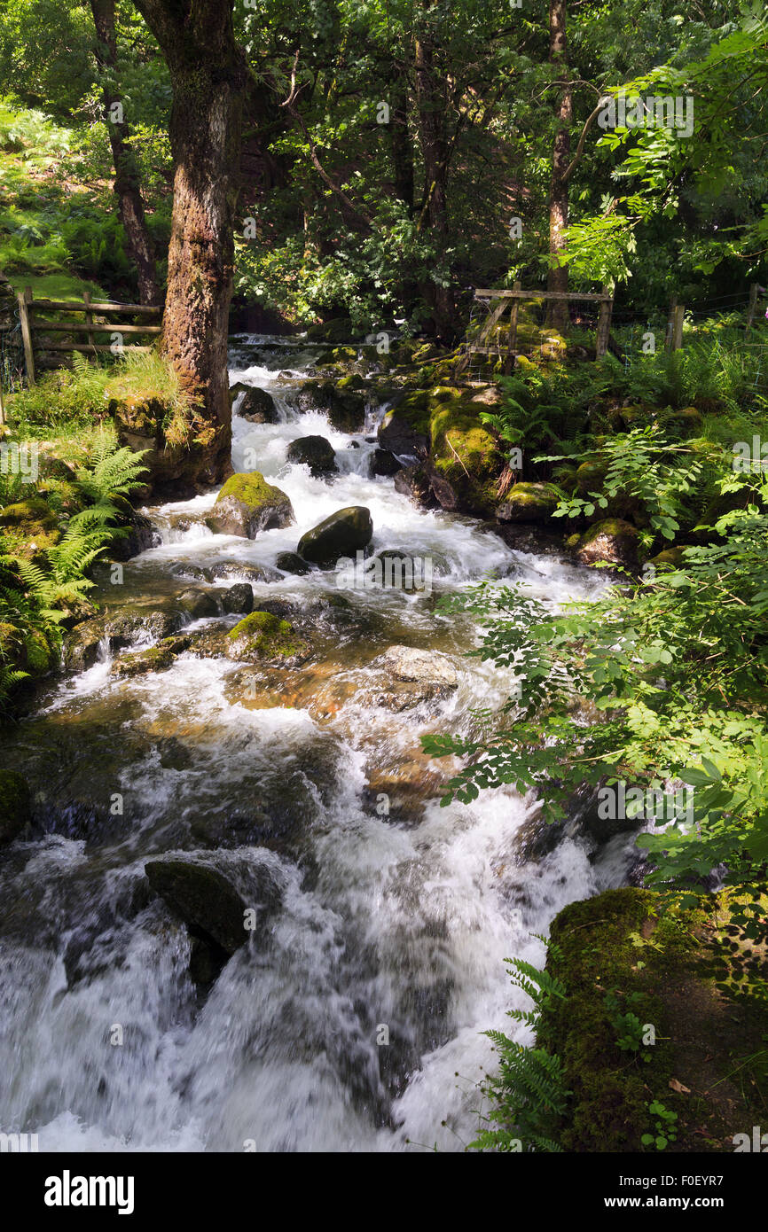 Mountain stream on the Dol Idris Path of Cadair Idris Stock Photo - Alamy