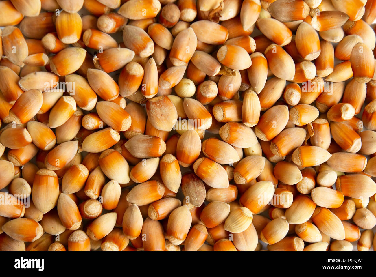 Texture of filberts Stock Photo - Alamy