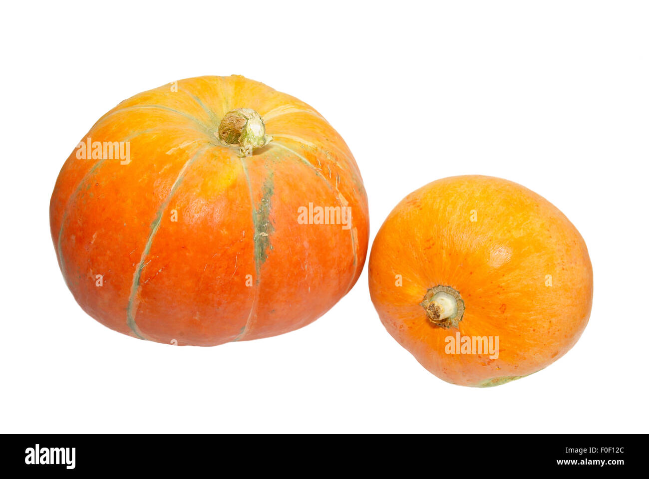 Black background with two pumpkins Cut Out Stock Images & Pictures - Alamy
