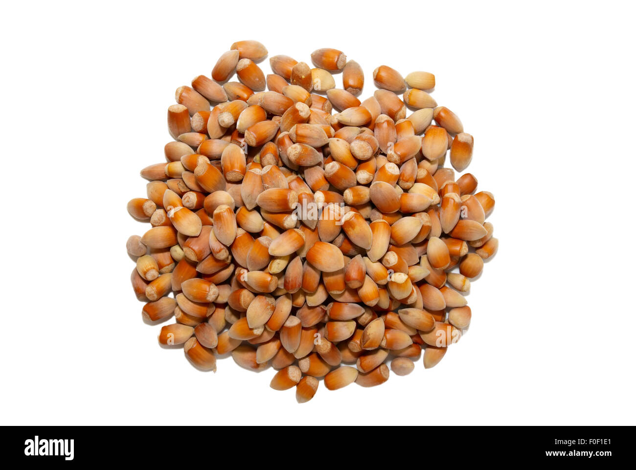 Heap of filberts isolated on white Stock Photo - Alamy