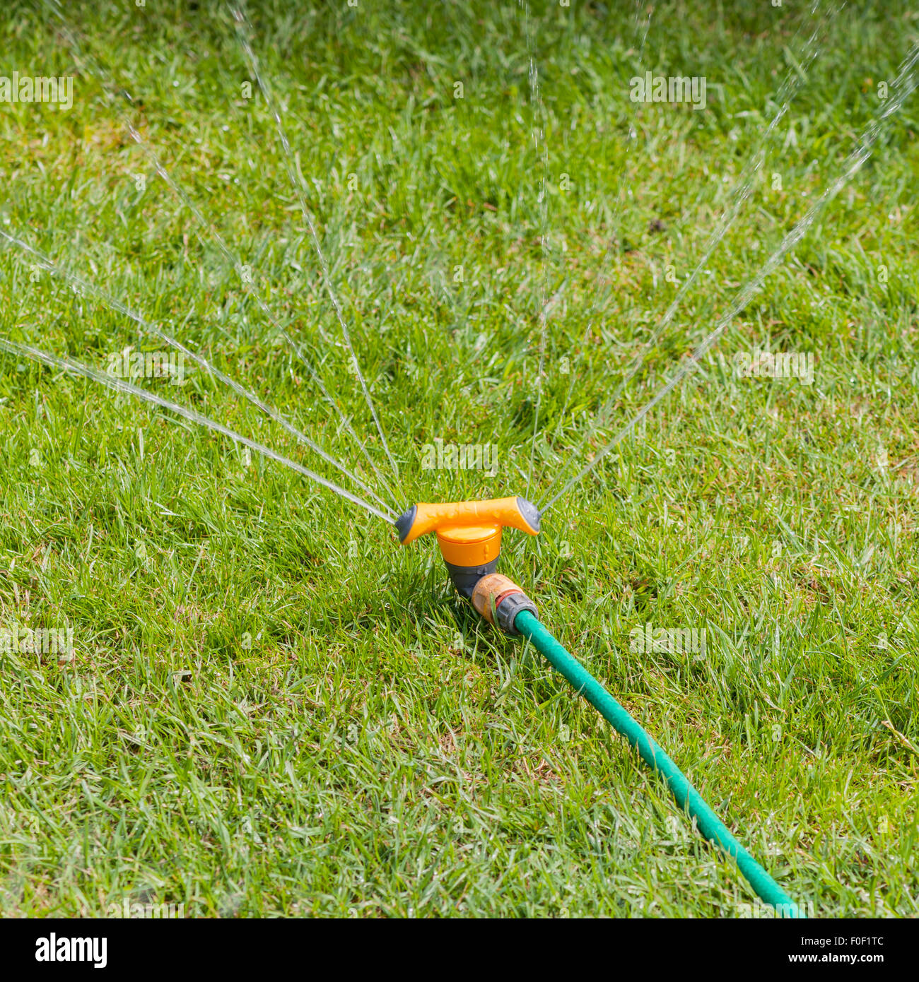Lawn sprinklers hi-res stock photography and images - Alamy