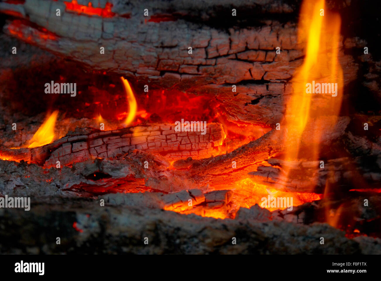 Flame tips on the firewood Stock Photo - Alamy