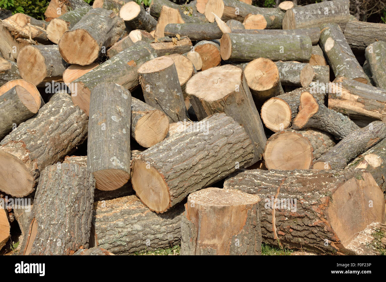 Different sizes of logs hi-res stock photography and images - Alamy