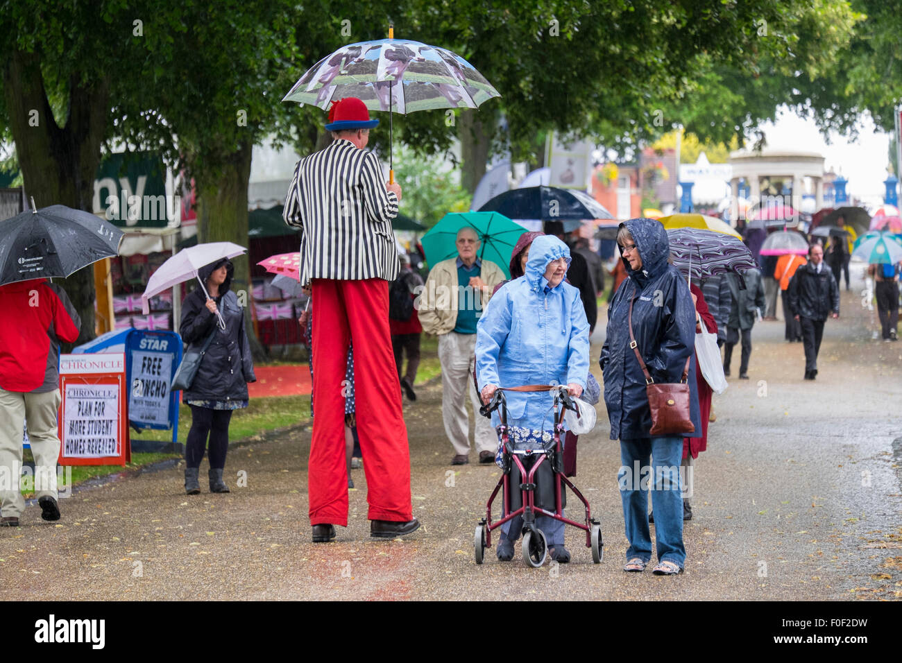 Entertainer Professor Crump braves the rain on his stilts with visitors ...