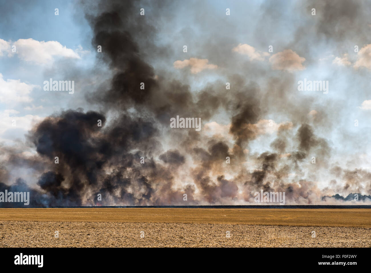 Fire field hi-res stock photography and images - Alamy