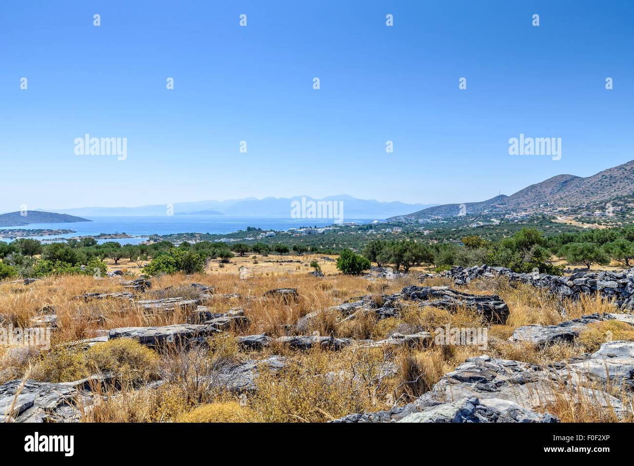 Scrub area hi-res stock photography and images - Alamy