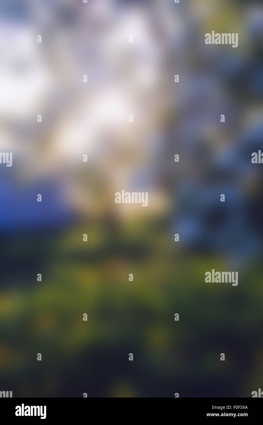 Blurry sunset and flower hi-res stock photography and images - Alamy