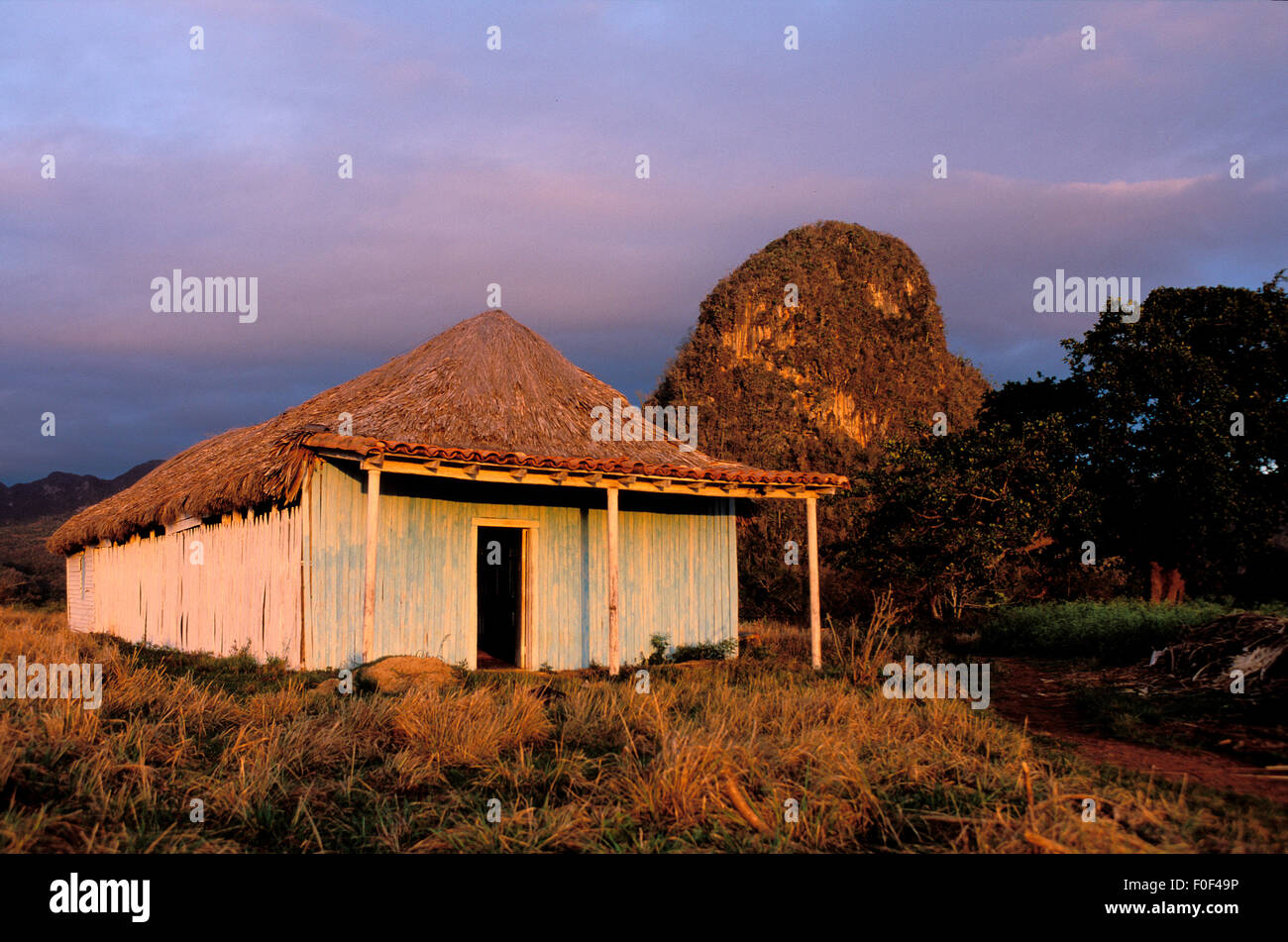 Cuba, Region of Pinar del Rio, Valley of Vinales Stock Photo - Alamy
