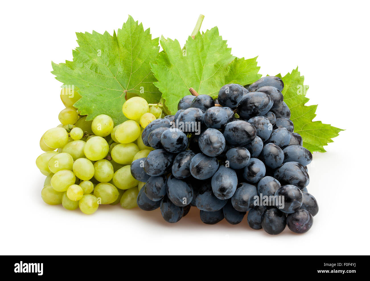 Winer grape hi-res stock photography and images - Alamy