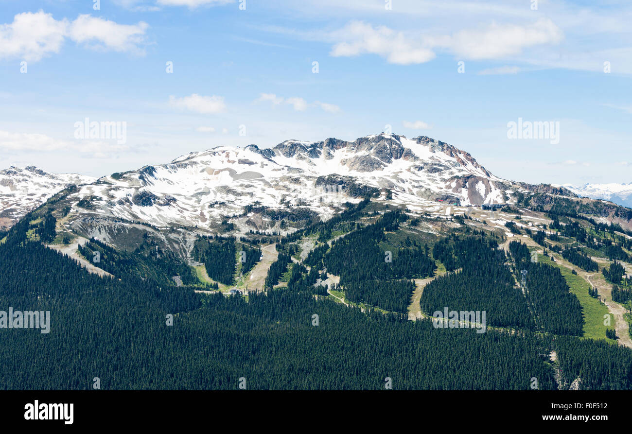 Whistler Mountain Summer