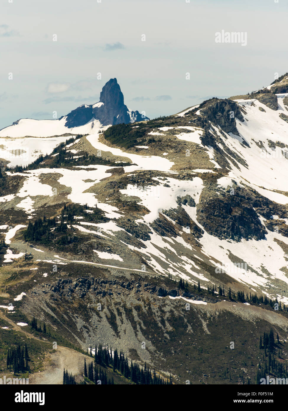 Summer view of Black Tusk Mountain seen from the Overlord Trail ...