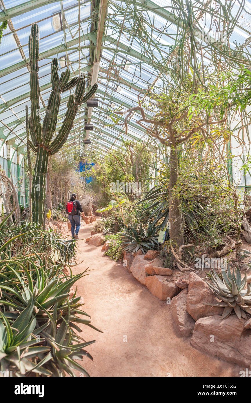 Tête de jardin hi-res stock photography and images - Alamy