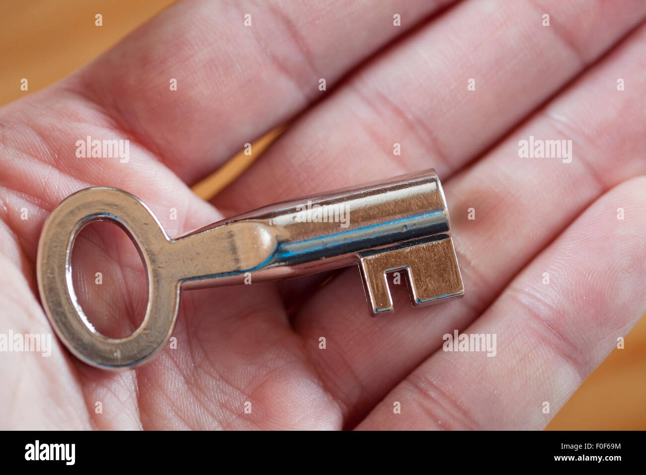 Male hand holding the standard DNT key. Reinheim cabin. Dovrefjell ...