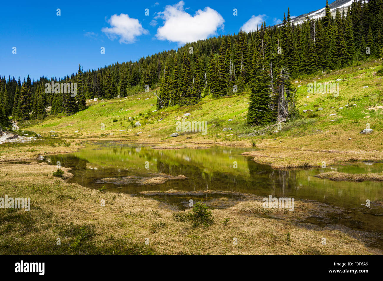 Overlord hi-res stock photography and images - Alamy