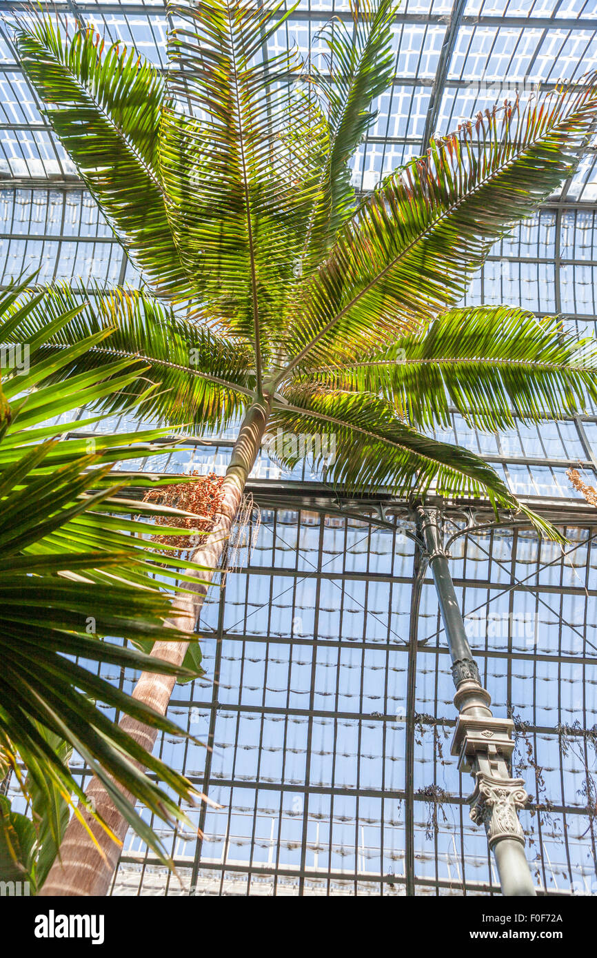Botanic Garden in Parc de la Tête d'Or in Lyon city, Rhône-Alpes ...