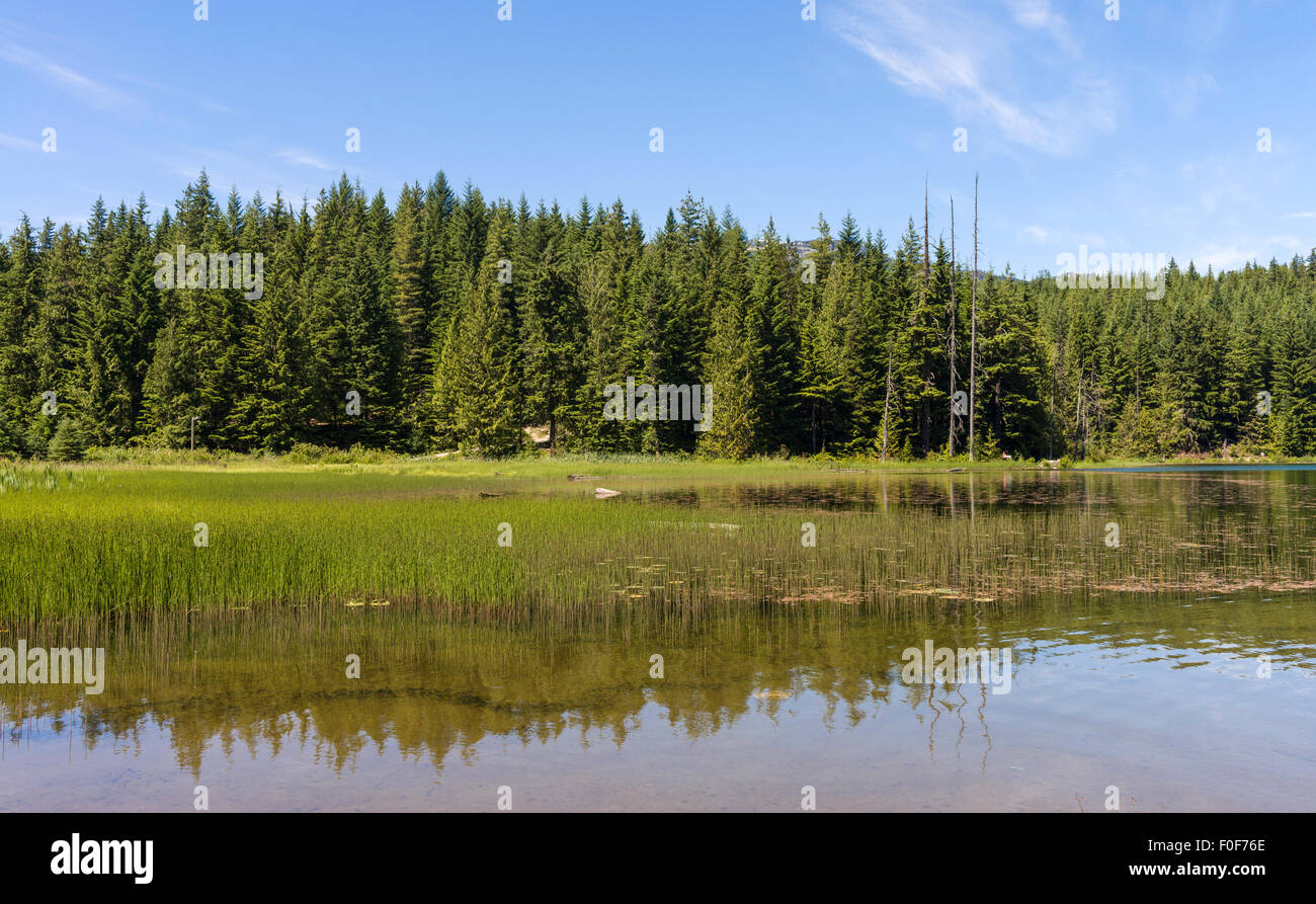 Whistler lake summer hi-res stock photography and images - Alamy