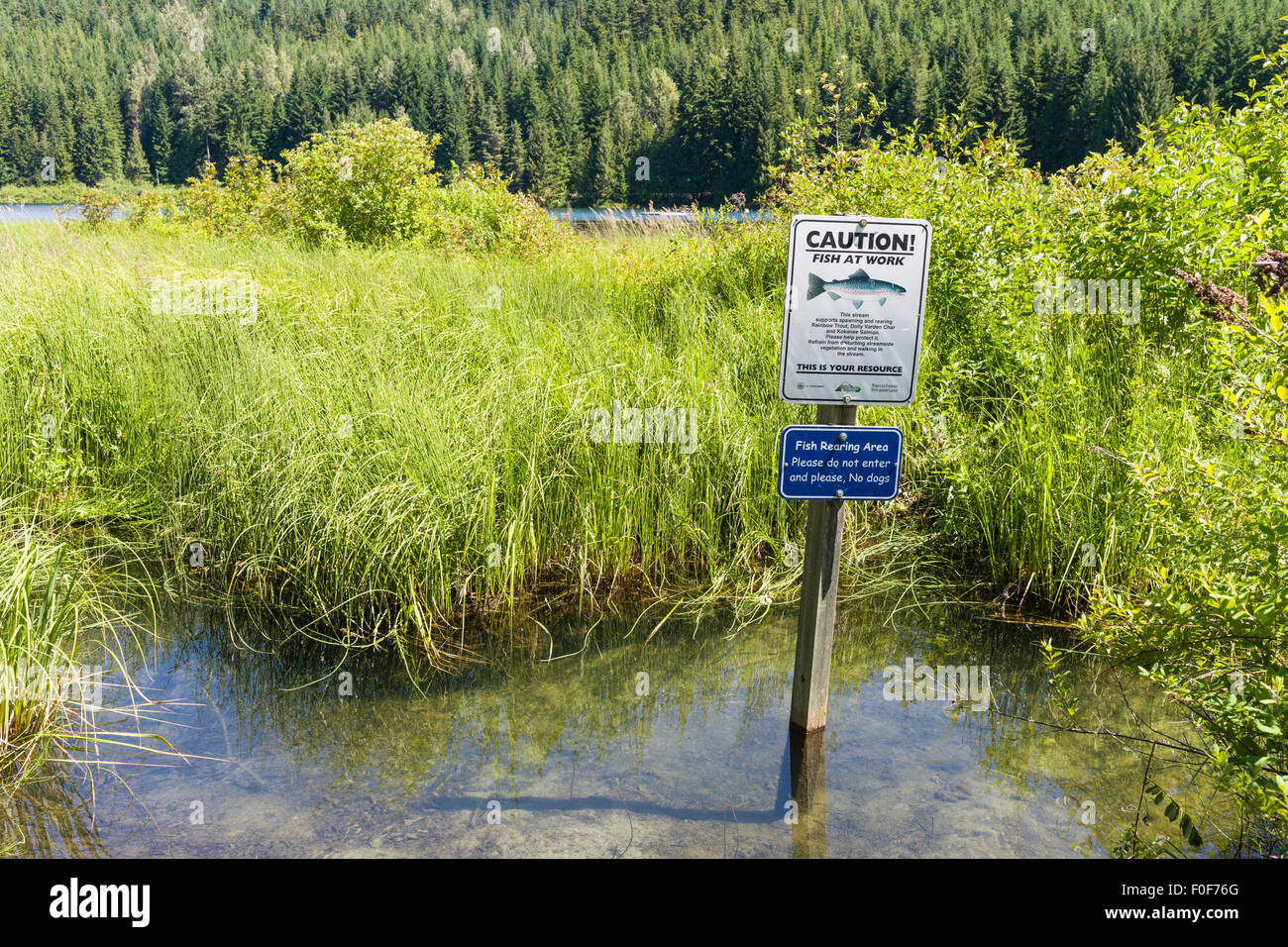 Fish rearing conservation sign near Lost Lake, Whistler, BC, Canada ...