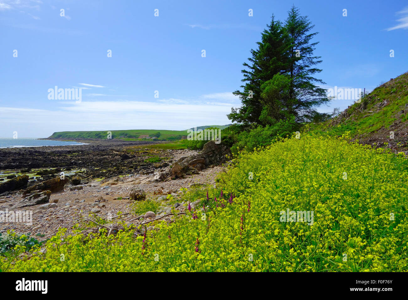 Dumfries Galloway Coastline High Resolution Stock Photography and ...