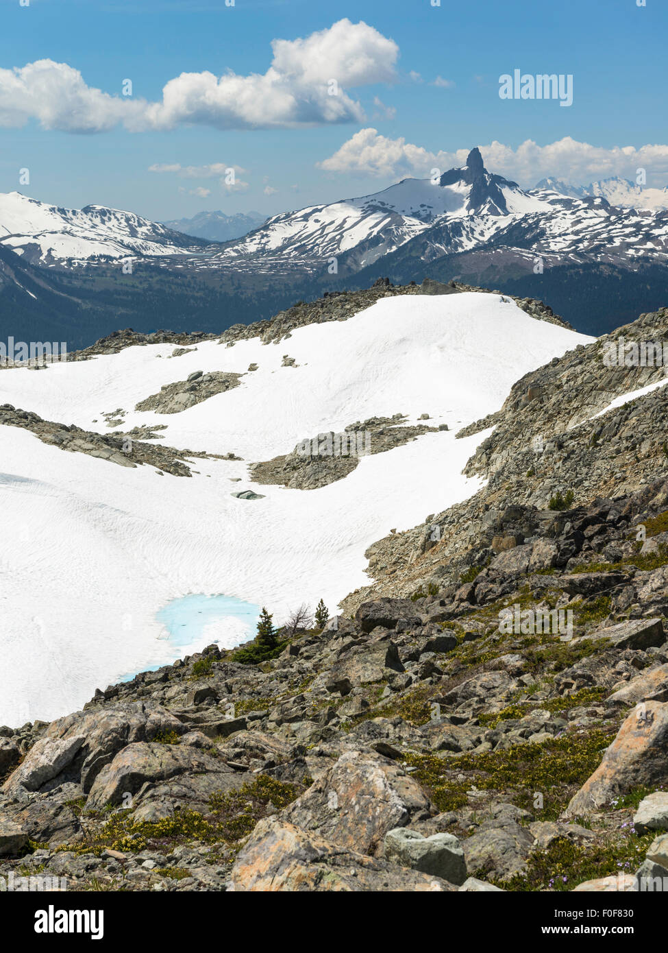 View of Black Tusk Mountain from Mathew's Traverse Road near the peak ...