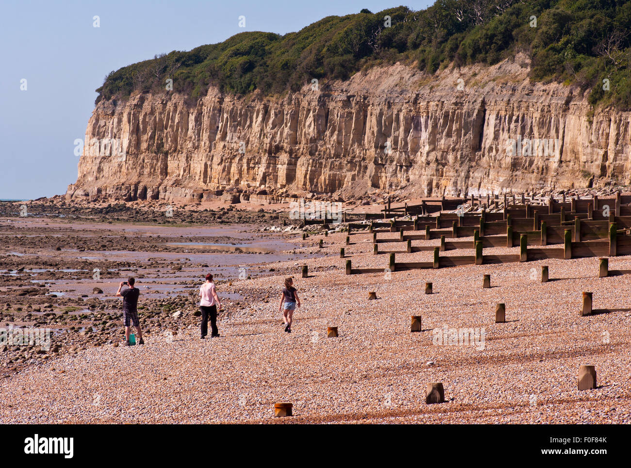 Pett level hi-res stock photography and images - Alamy