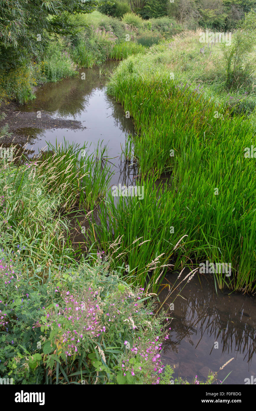 Source River Thames Stock Photos & Source River Thames Stock Images - Alamy