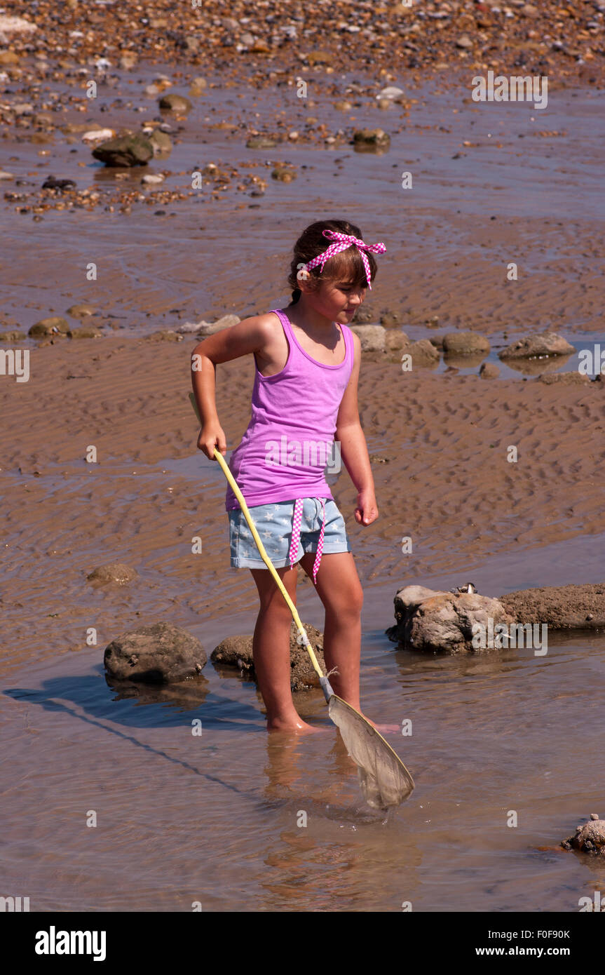 Rockpooling children summer uk hi-res stock photography and images - Alamy