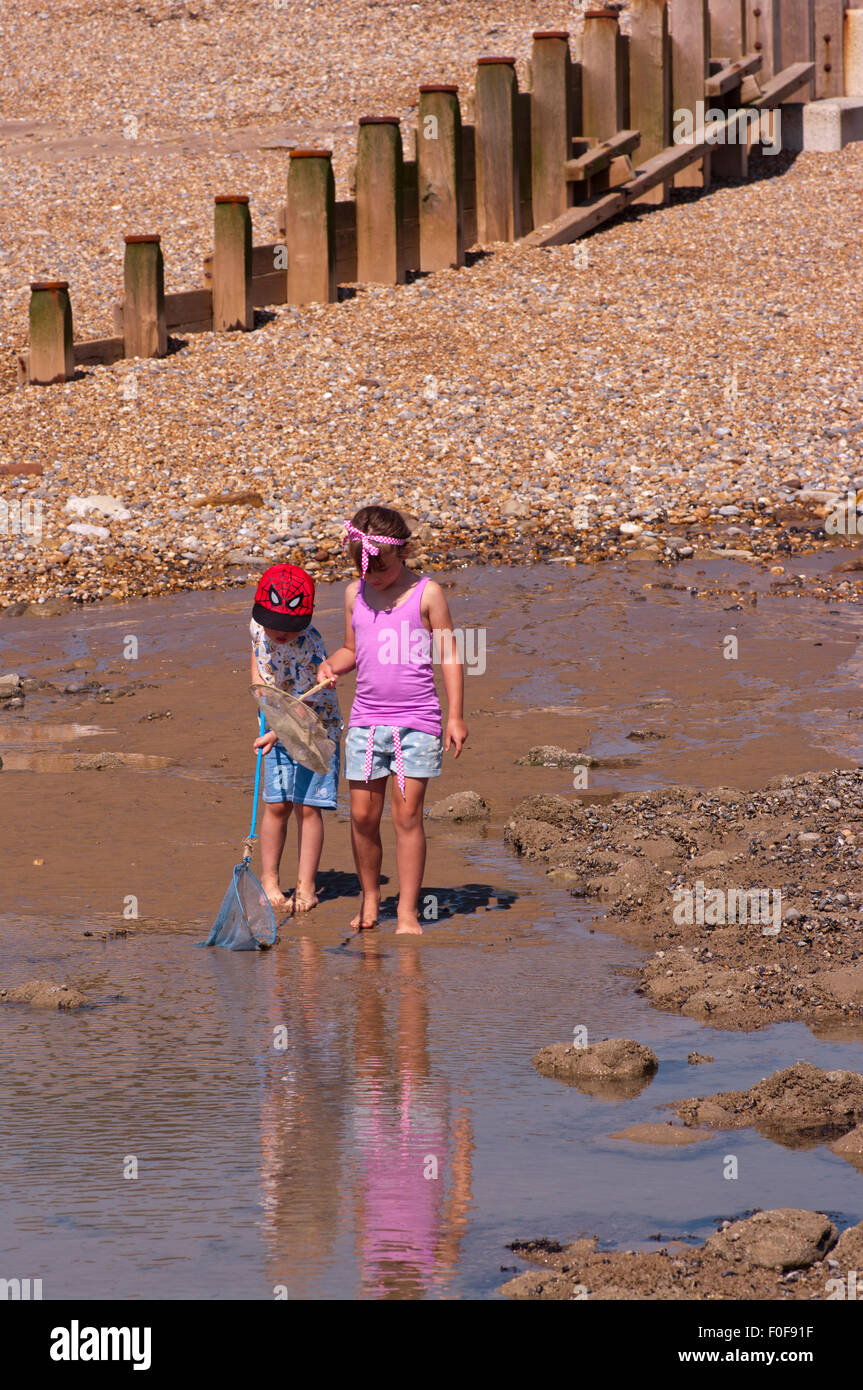 Family holiday uk rockpool hi-res stock photography and images - Alamy