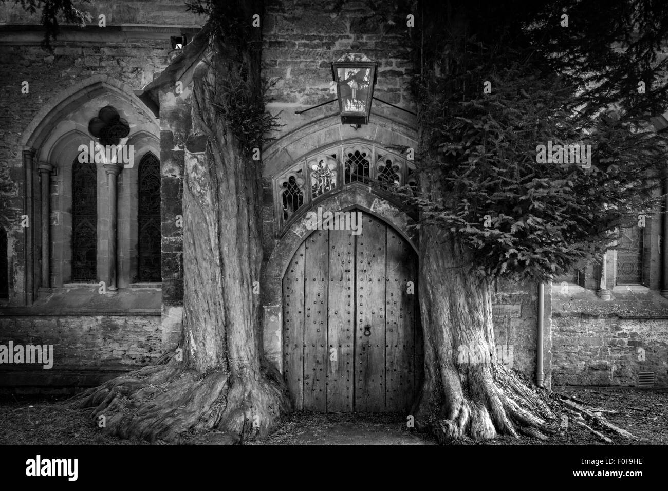Yew tree church hi-res stock photography and images - Alamy